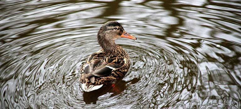 Environmental & Safety Information | Jebro, Inc.